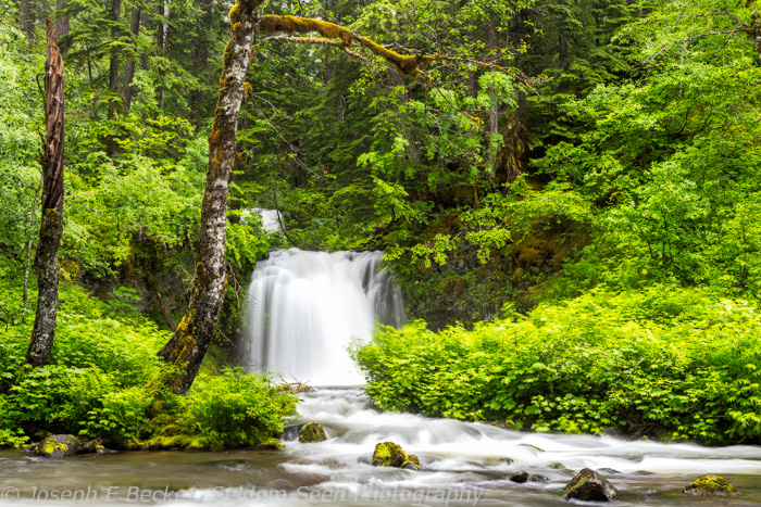 Waterfalls of the Lewis River – a Photo Guide - seldomseenphoto.com