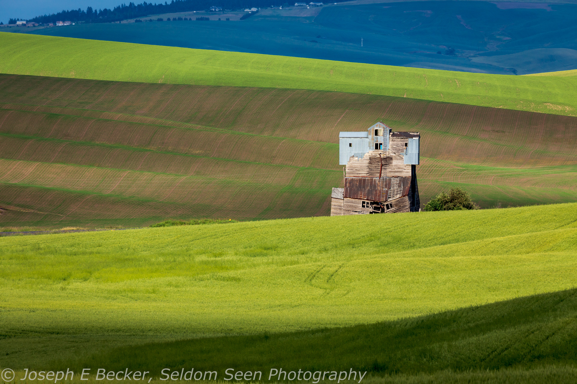 Palouse - seldomseenphoto.com
