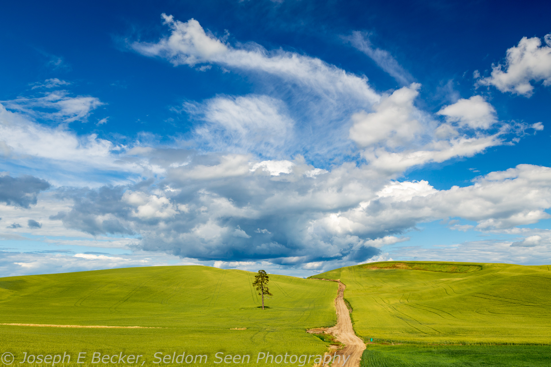 Palouse - seldomseenphoto.com